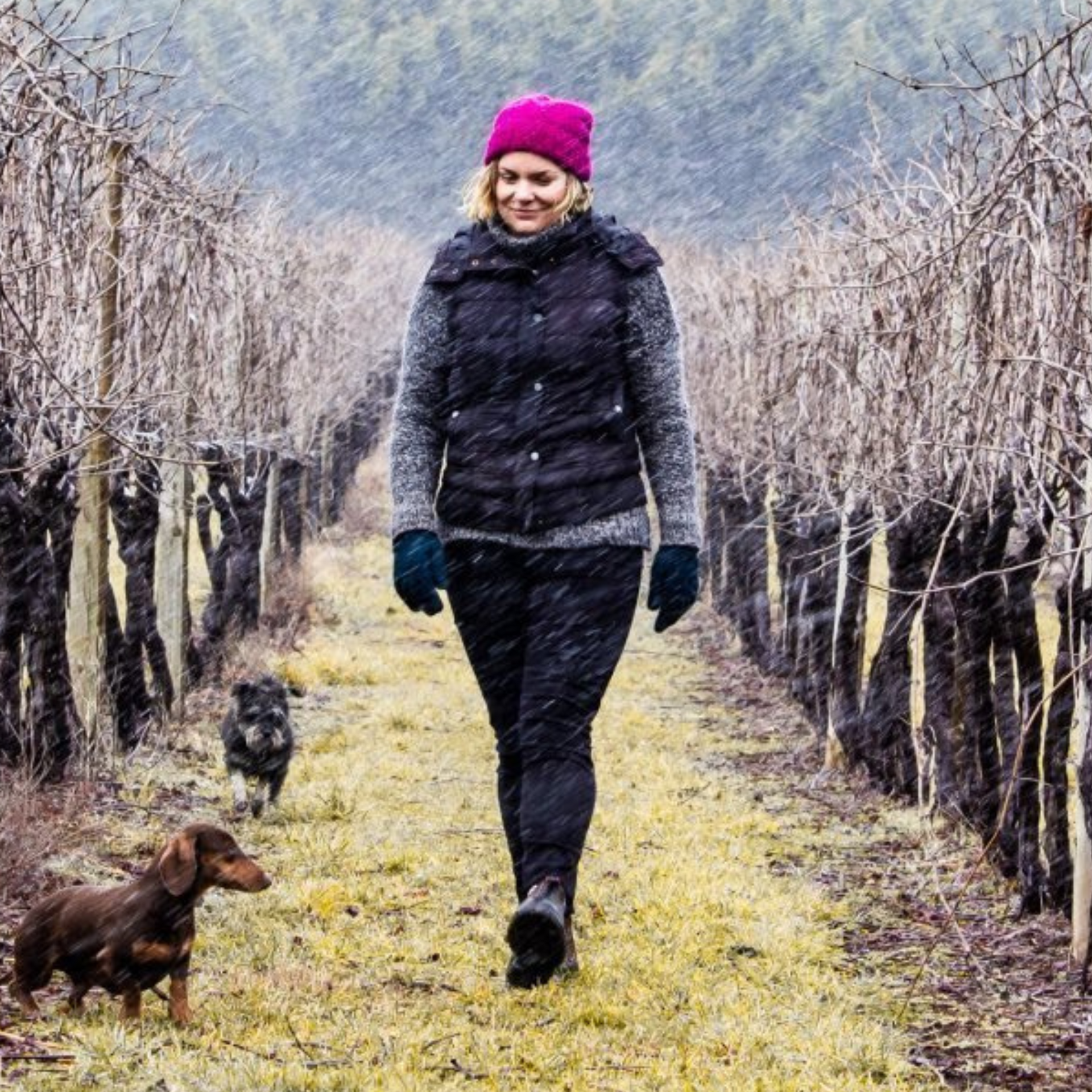 Famelia - Your Wine Bar and Bottle Shop