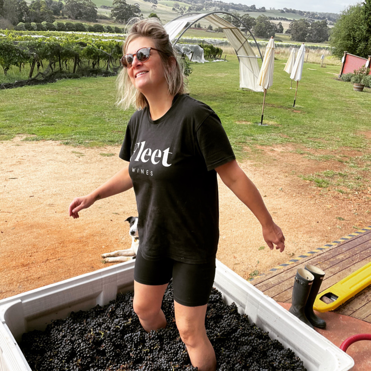 Taste with the Winemaker ~ Lisa Jenkins of Fleet Wines – Famelia